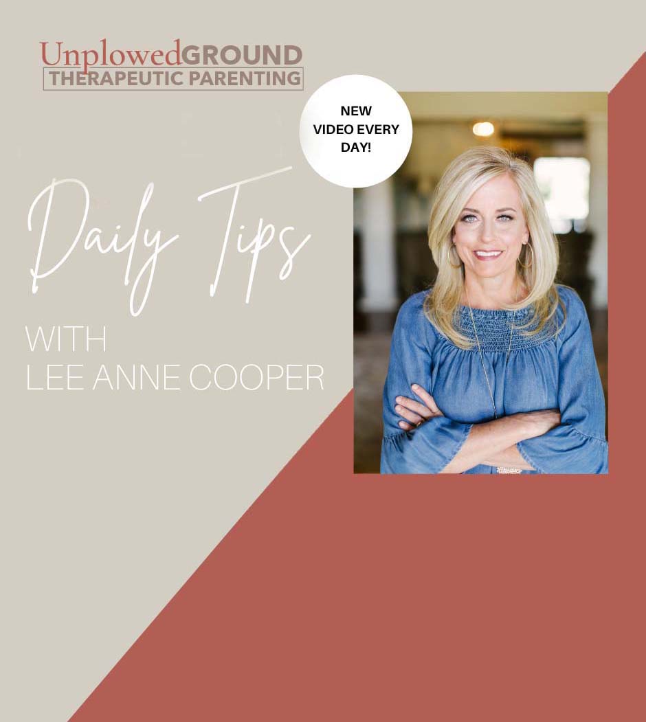 Unplowed Ground Parenting – Strategies for Parenting Challenging Children